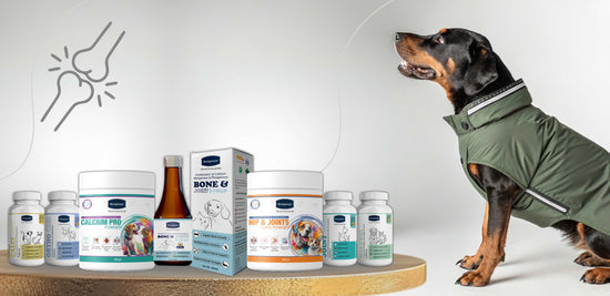 Buy Best Bone and Joint Supplements for Dogs and Cats Online – Aniamor ...